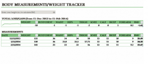 Body Measurement & Weight Tracking Template | Download