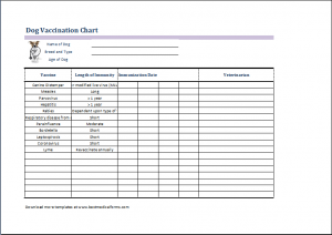 Dog Vaccination Chart Template | Download Sample File