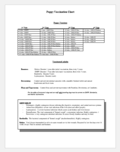 Vet Excuse Notes Template for Word | Printable Medical Forms, Letters ...