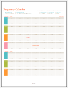 Pregnancy Calendar by Weeks for Excel | Download Template